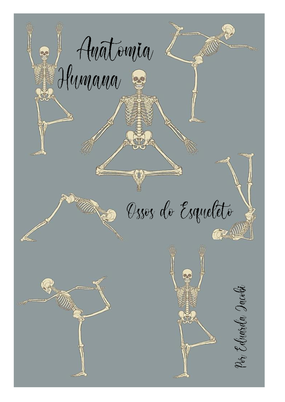 1 Resumo Esqueleto - Ikkkkk - Anatomia Humana Ossos do Esqueleto Por ...