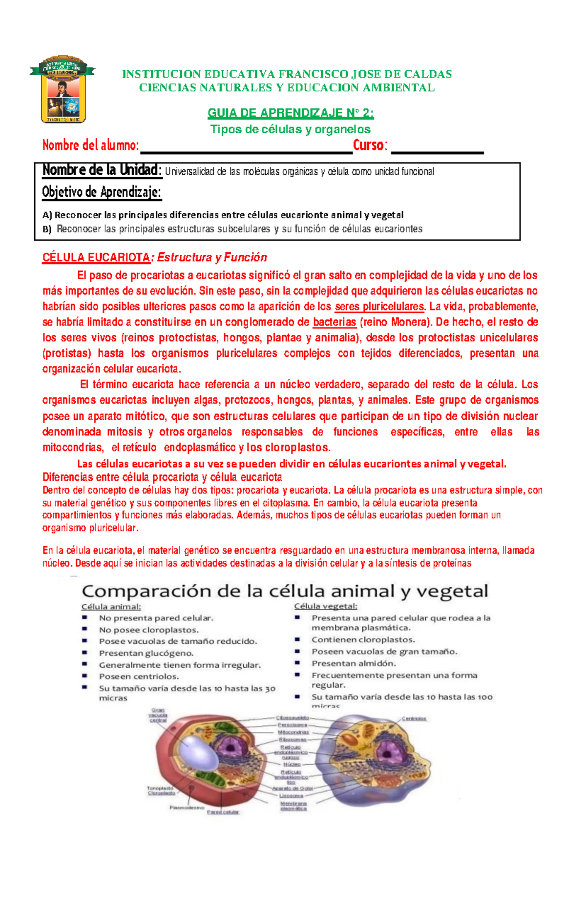 Célula y organelos 6 Y 7 - naturales - INSTITUCION EDUCATIVA FRANCISCO ...