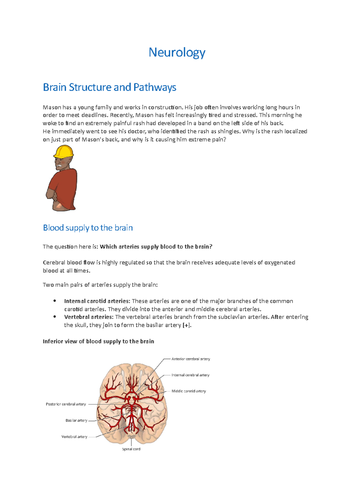 KC - Central Nervous System Study Notes - Neurology Brain Structure and ...