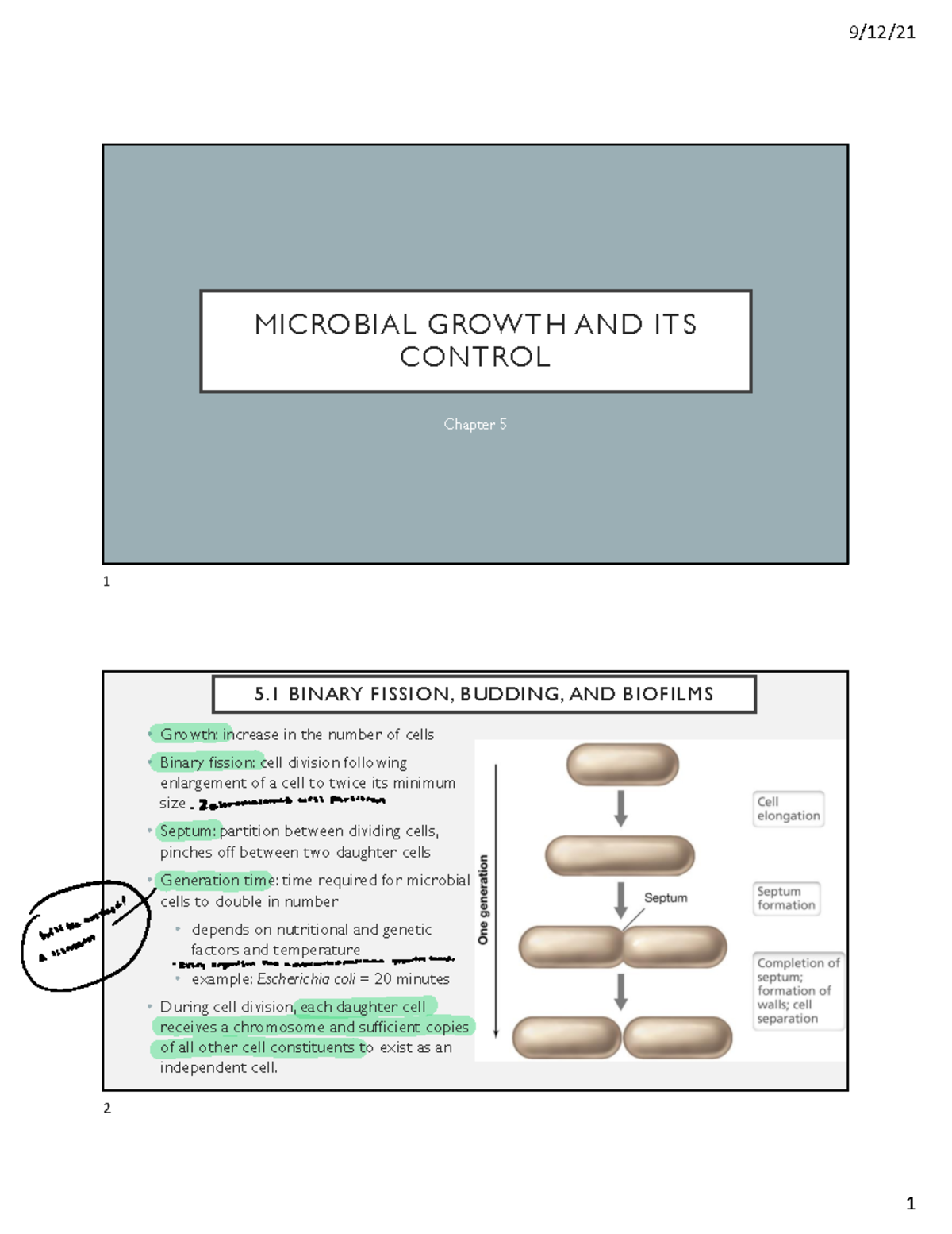 Module Four - Microbiology notes unit 4 - MICROBIAL GROWTH AND ITS ...