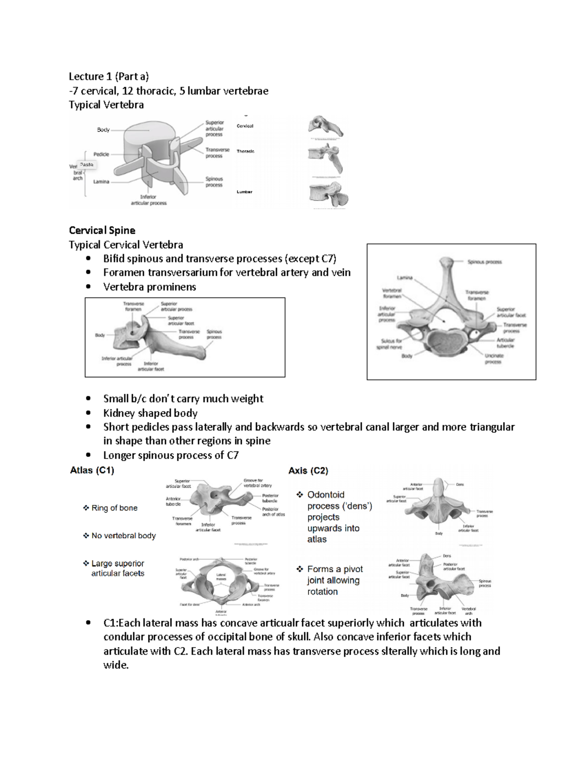Lecture 1-Anatomy 2-cervical spine and thorax muscles - Lecture 1 (Part ...