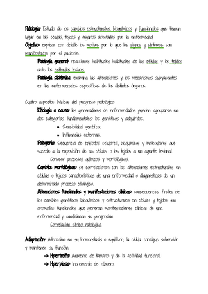 Ácidos nucleicos - ART - Ensayo - ÁCIDOS NUCLEICOS. ÁCIDOS NUCLEICOS En ...