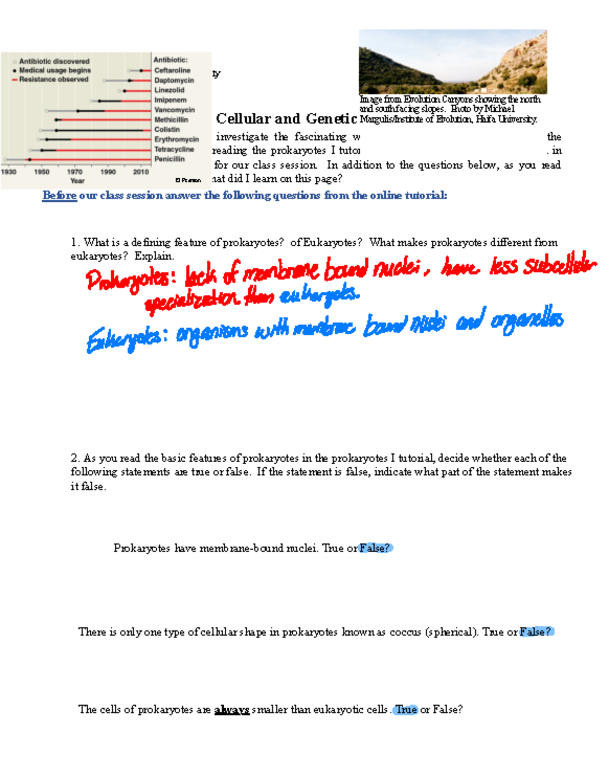 Lecture Guide 4 - BIOL 110 - Basic Concepts and Biodiversity Learning ...