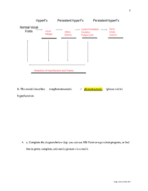 Voice Disorders Midterm Review Outline - Voice Midterm Review Class ...