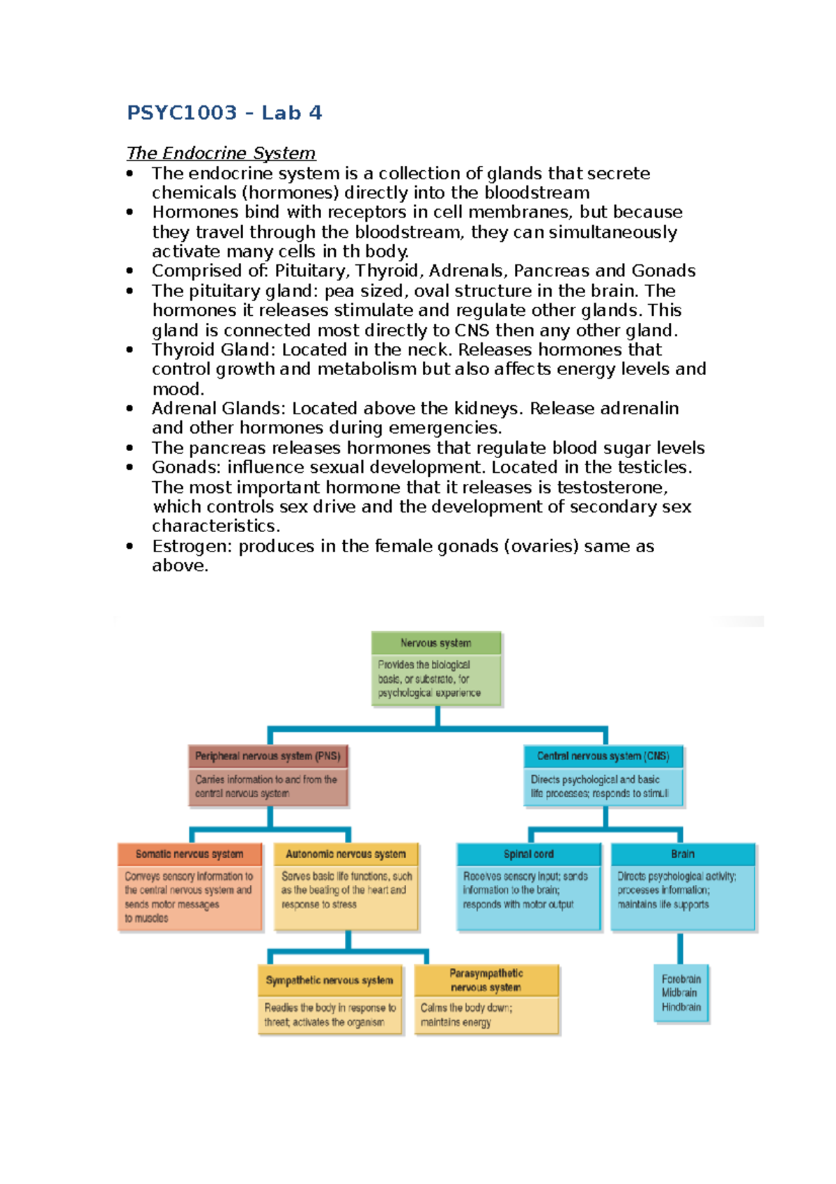 Practical - lab 4 - PSYC1003 – Lab 4 The Endocrine System The endocrine ...