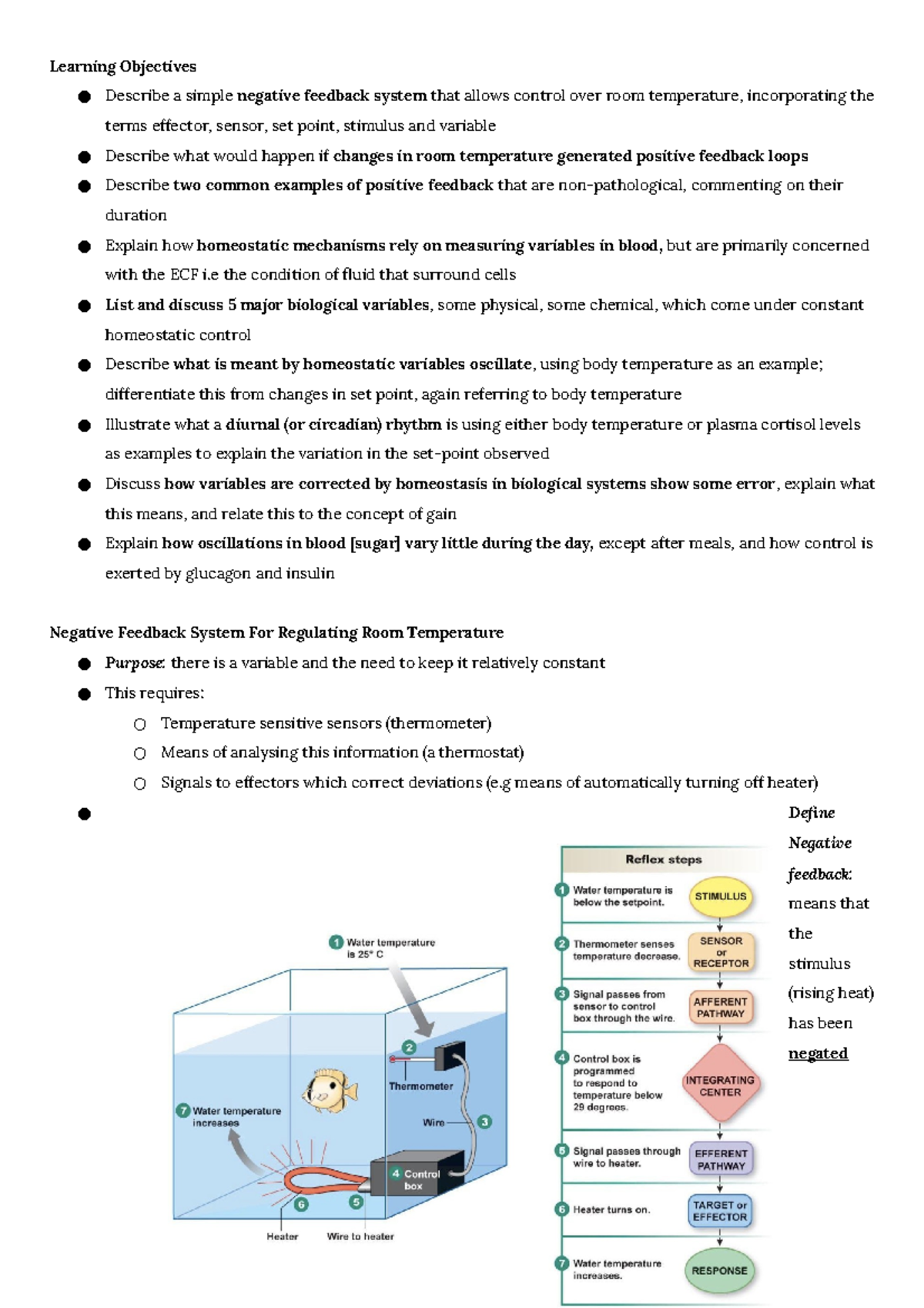 Topic 10a Principles of Homeostasis - Learning Objectives Describe a ...