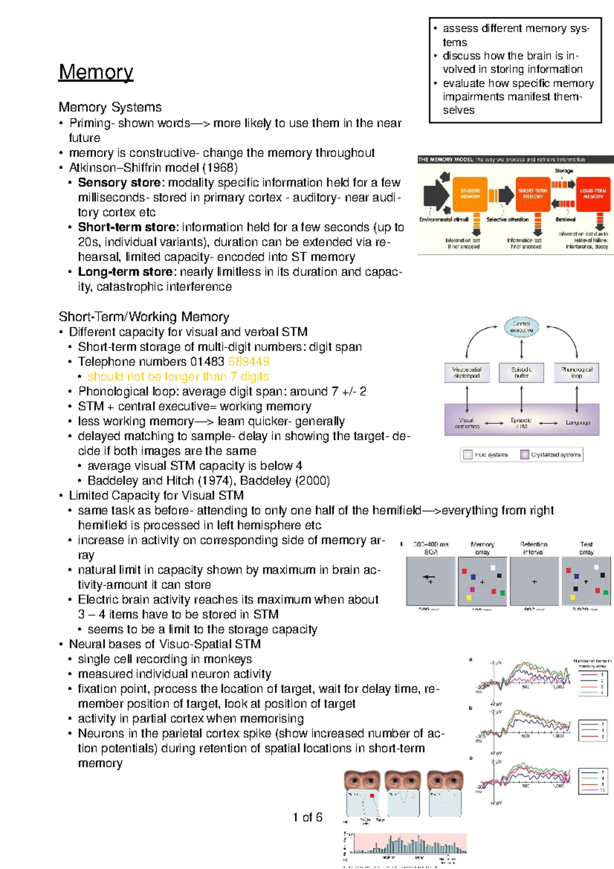 Biology of Memory - • assess different memory systems • discuss how the ...