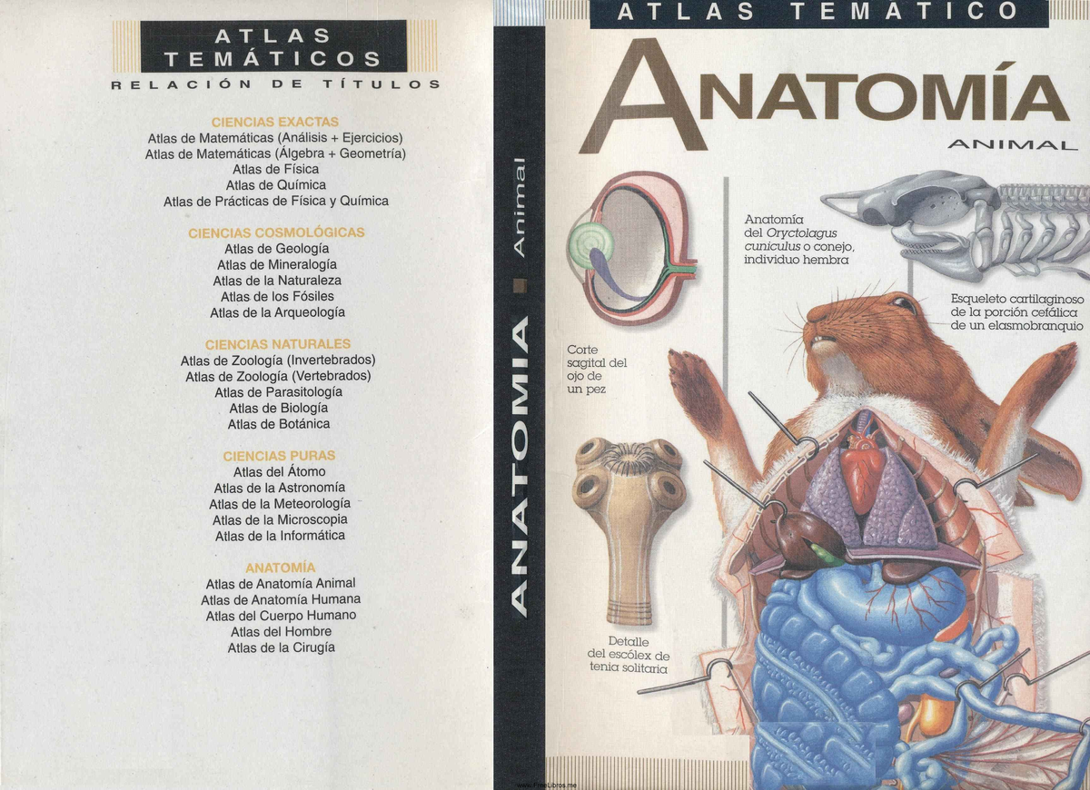 Atlas Tematico de Anatomia Animal - anatomia descriptiva - Studocu