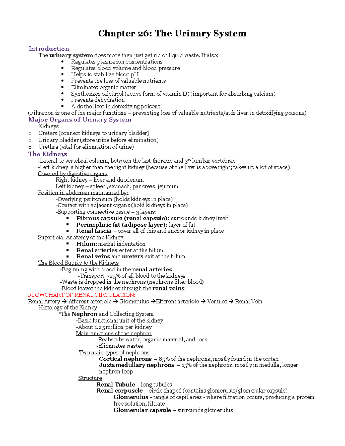 Chapter 26 - Urinary System outline - Chapter 26: The Urinary System ...