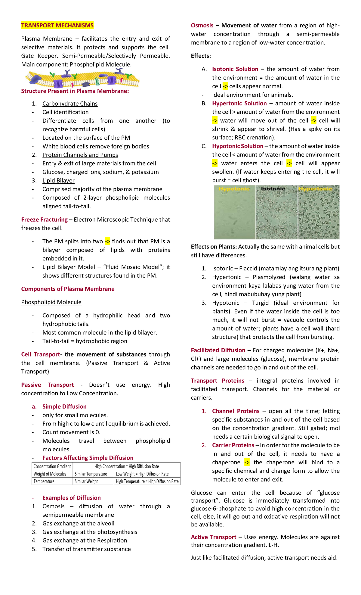Genbio rev - go girl - TRANSPORT MECHANISMS Plasma Membrane ...