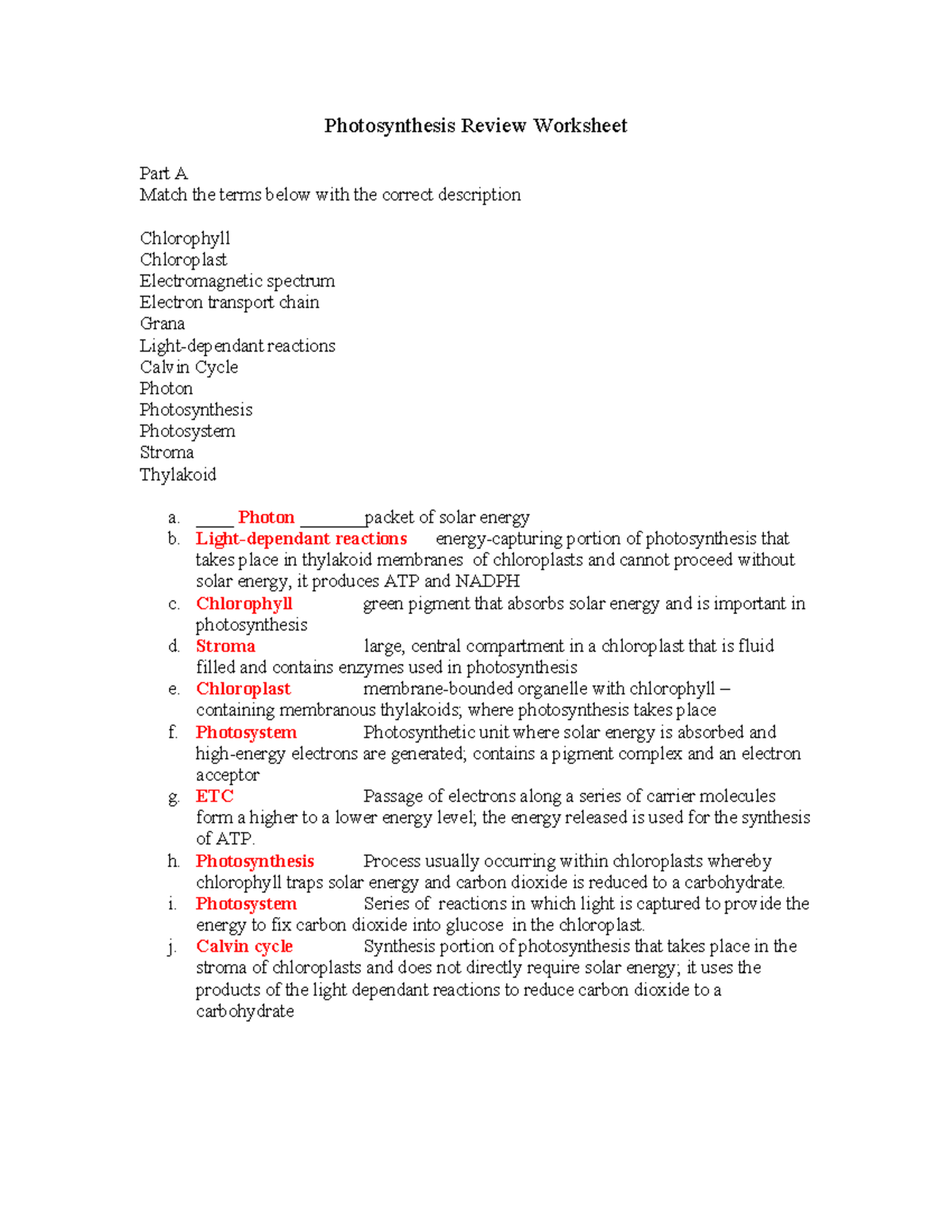 Photosynthesisreviewworksheetkey - Photosynthesis Review Worksheet Part ...