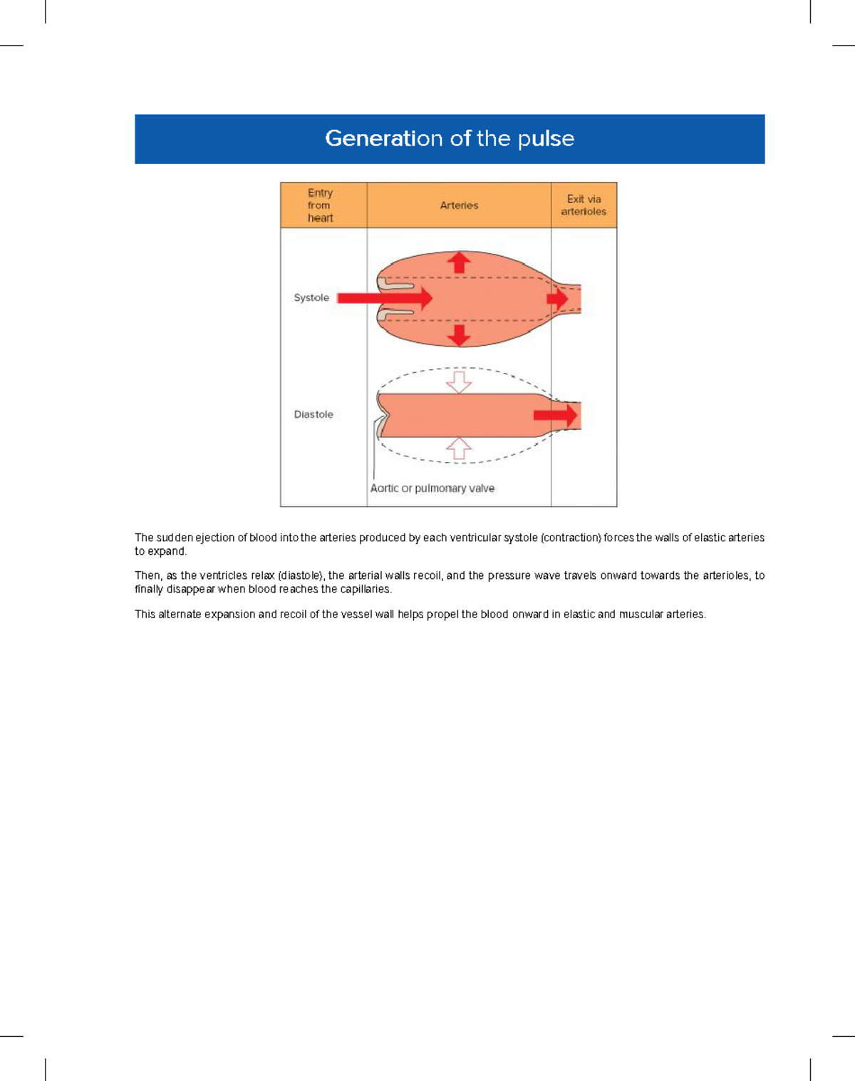Cardiovascular Physiology - Generation of the pulseGeneration of the ...