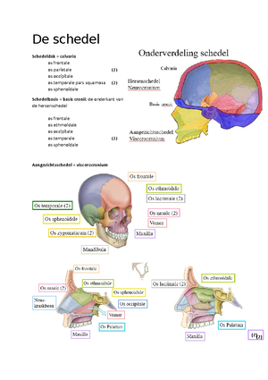 Bindweefsel, kraakbeen, botweefsel - Bindweefsel Functies: - Steun van ...