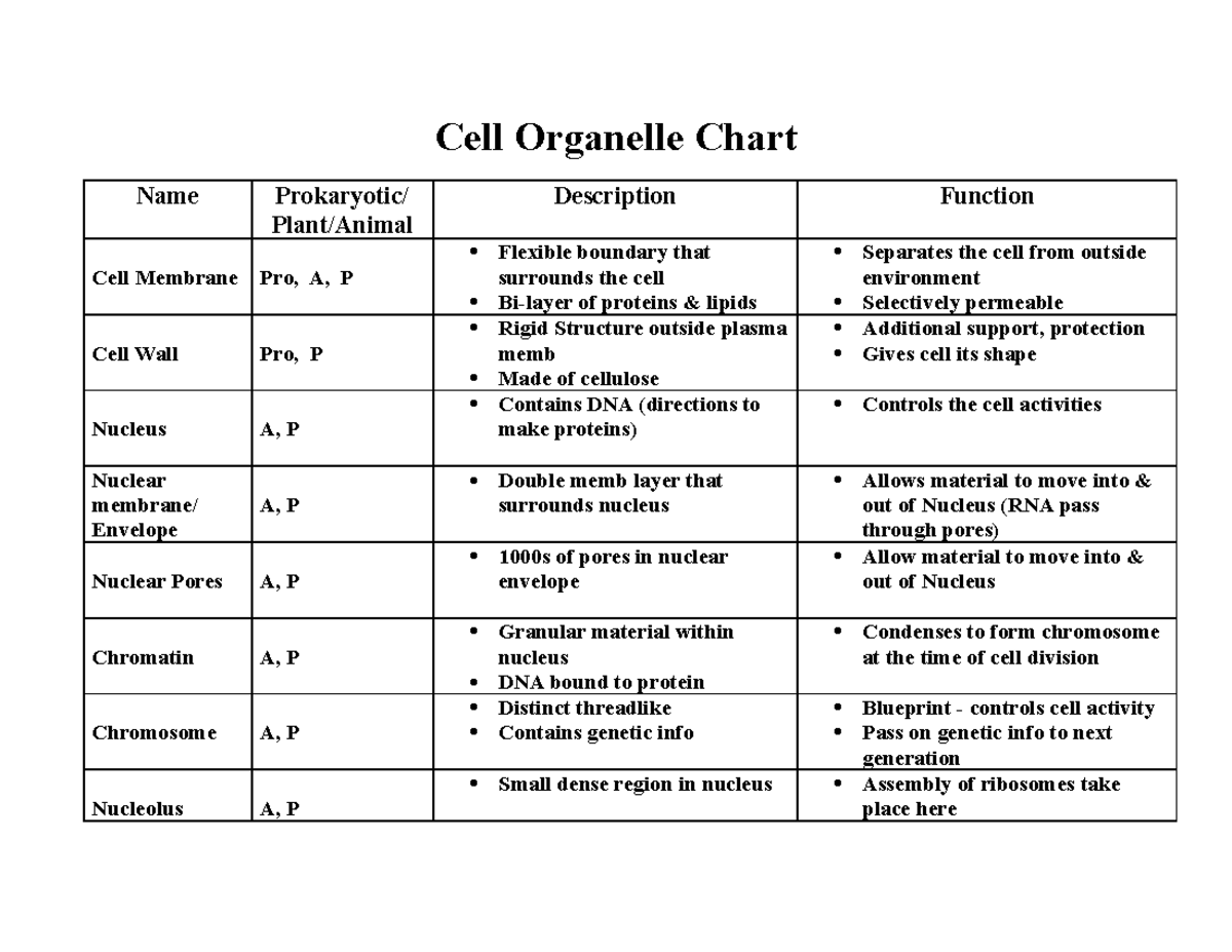 Cell Organelle Chart Key Cell Organelle Chart Name Prokaryotic Plant 