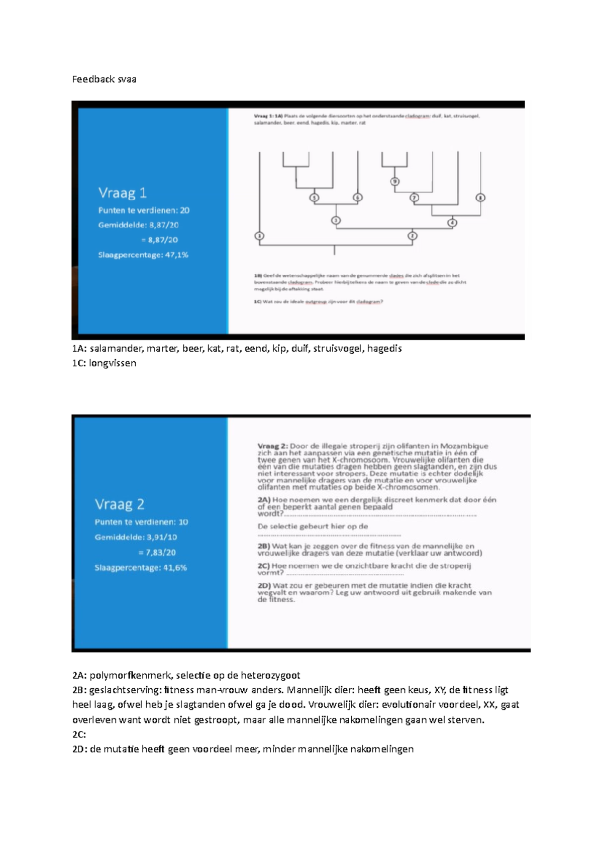 Feedback svaa - Feedback svaa 1A: salamander, marter, beer, kat, rat ...