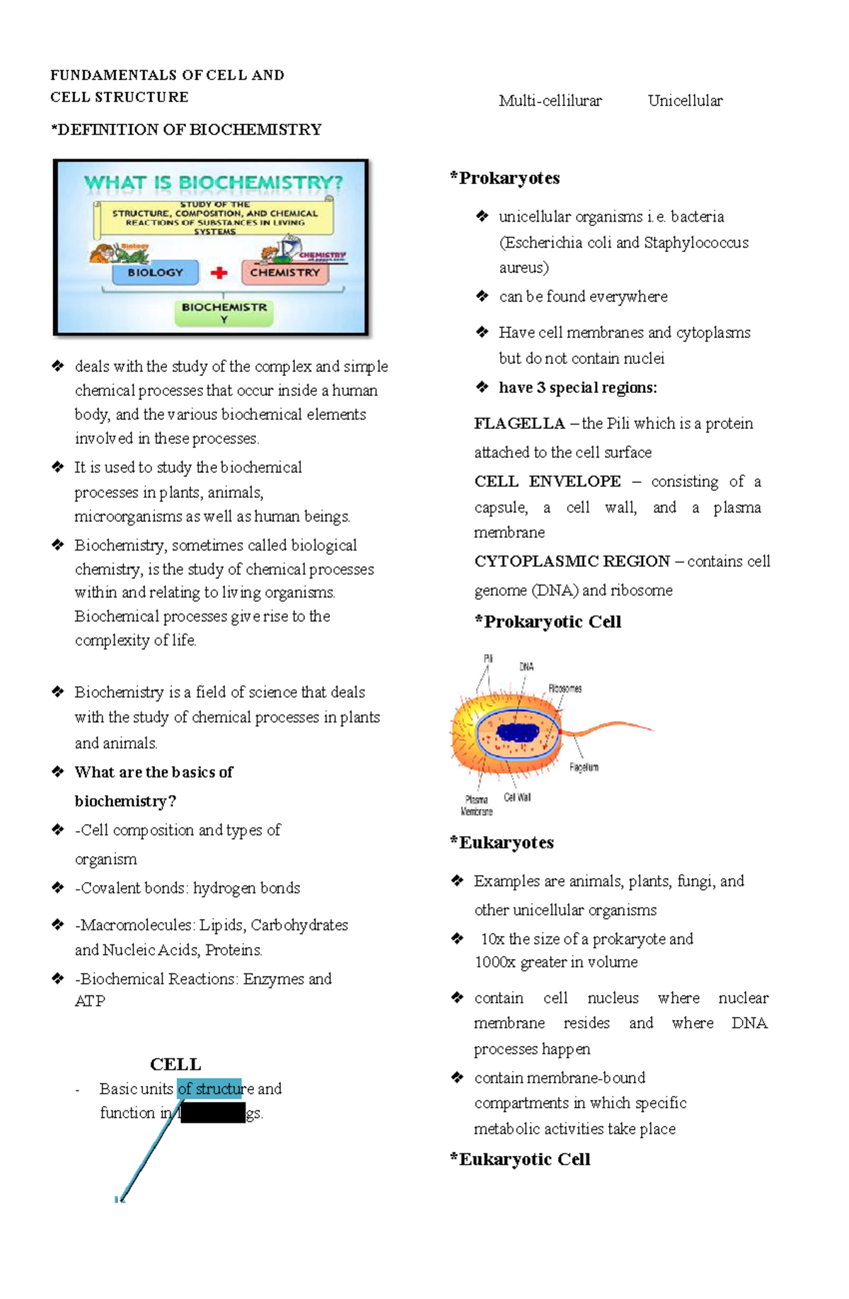 Fundamentals of Cells and Cell Structure - FUNDAMENTALS OF CELL AND ...