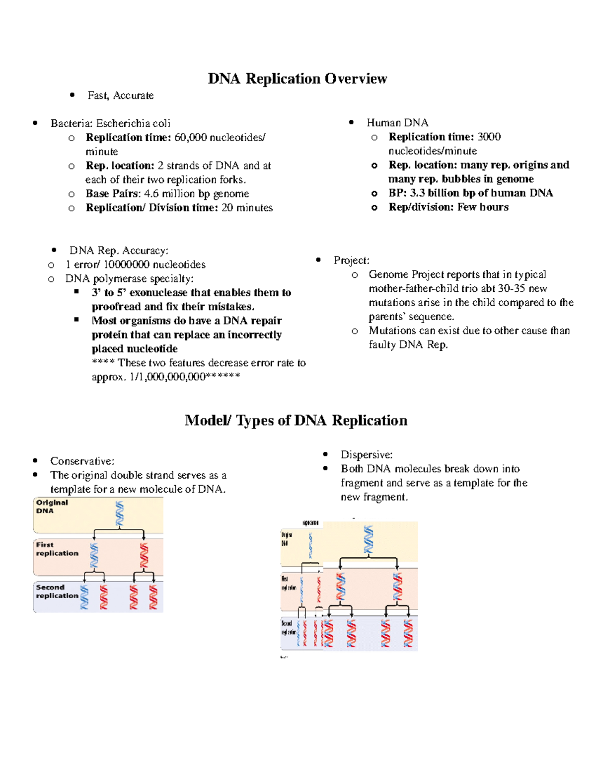 DNA Replication Notes - DNA Replication Overview Fast, Accurate Model ...