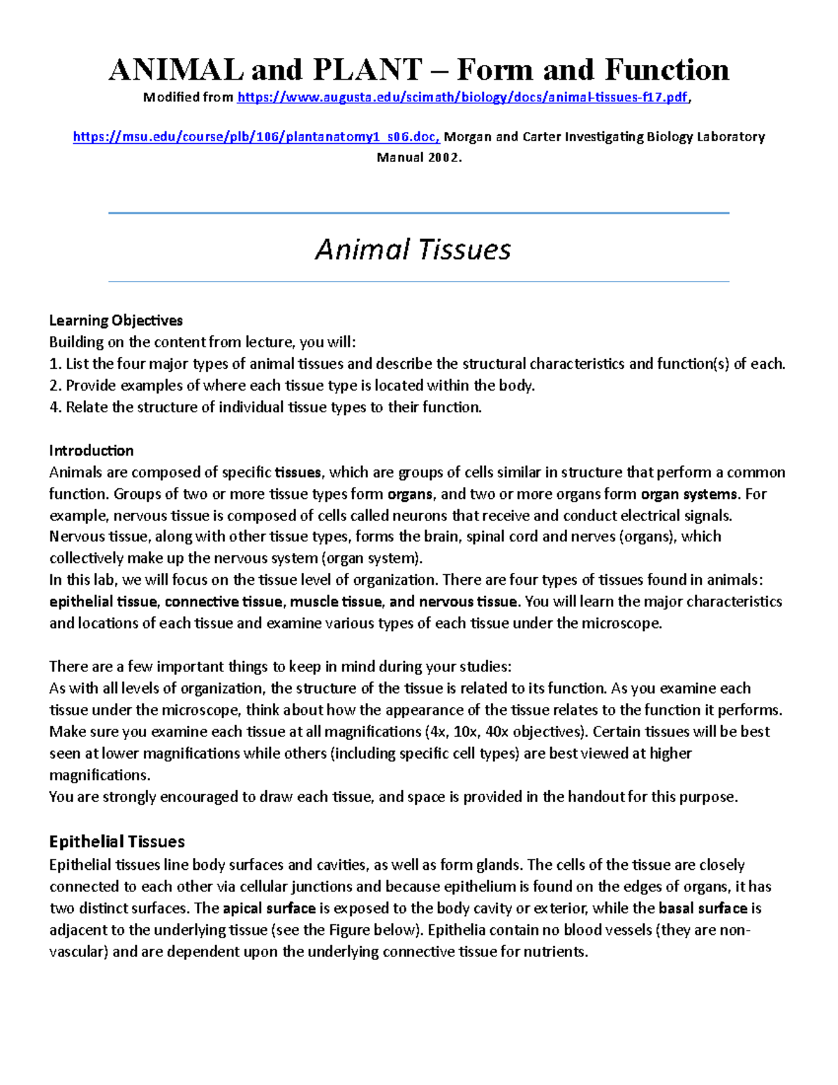 Animal and Plant Form and Function-Worksheet - ANIMAL and PLANT – Form ...