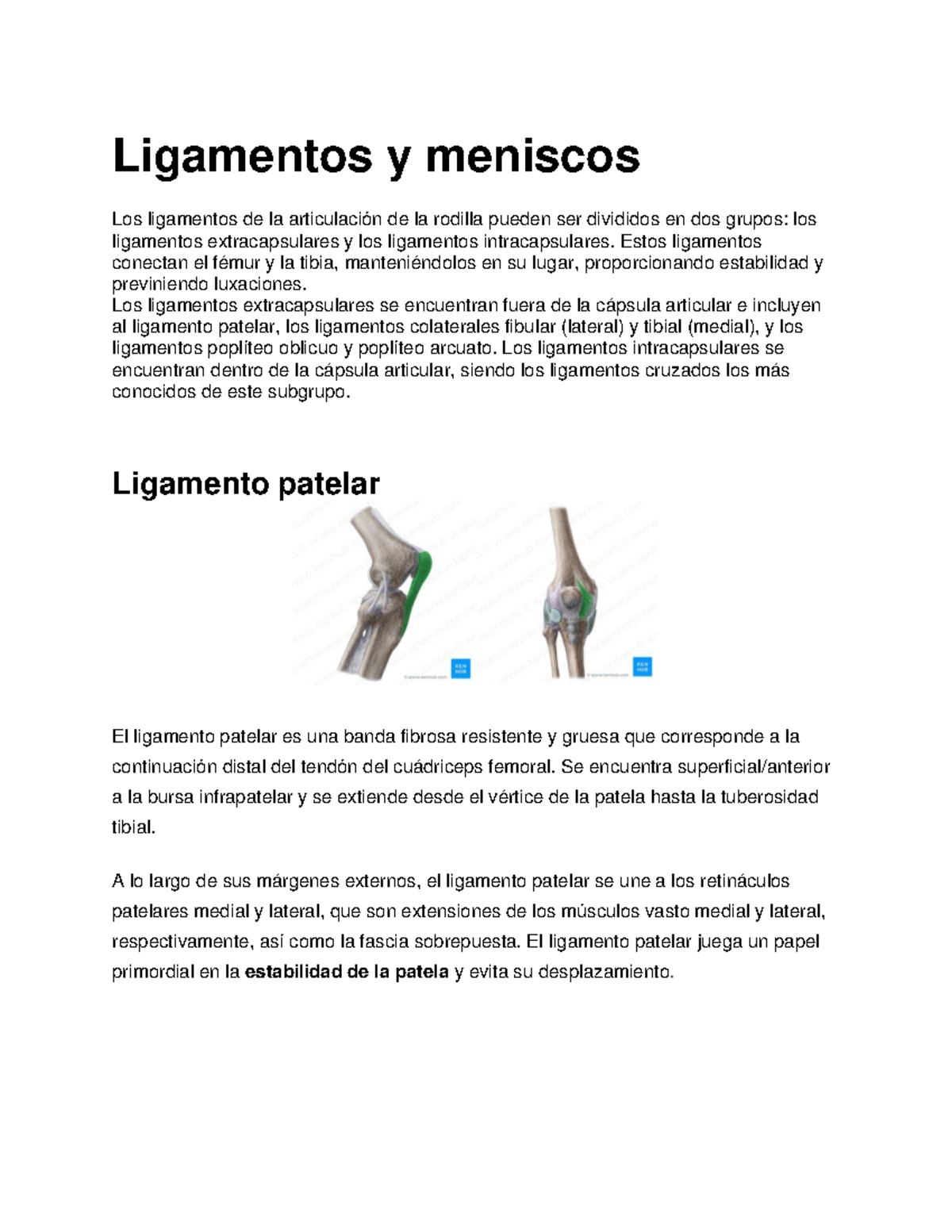 Ligamentos y meniscos rodilla - Ligamentos y meniscos Los ligamentos de ...