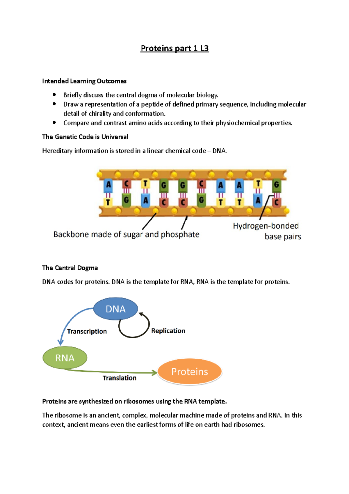 Proteins Part 1 L3 - Introduction to protein structure and function. - Proteins part 1 L ...