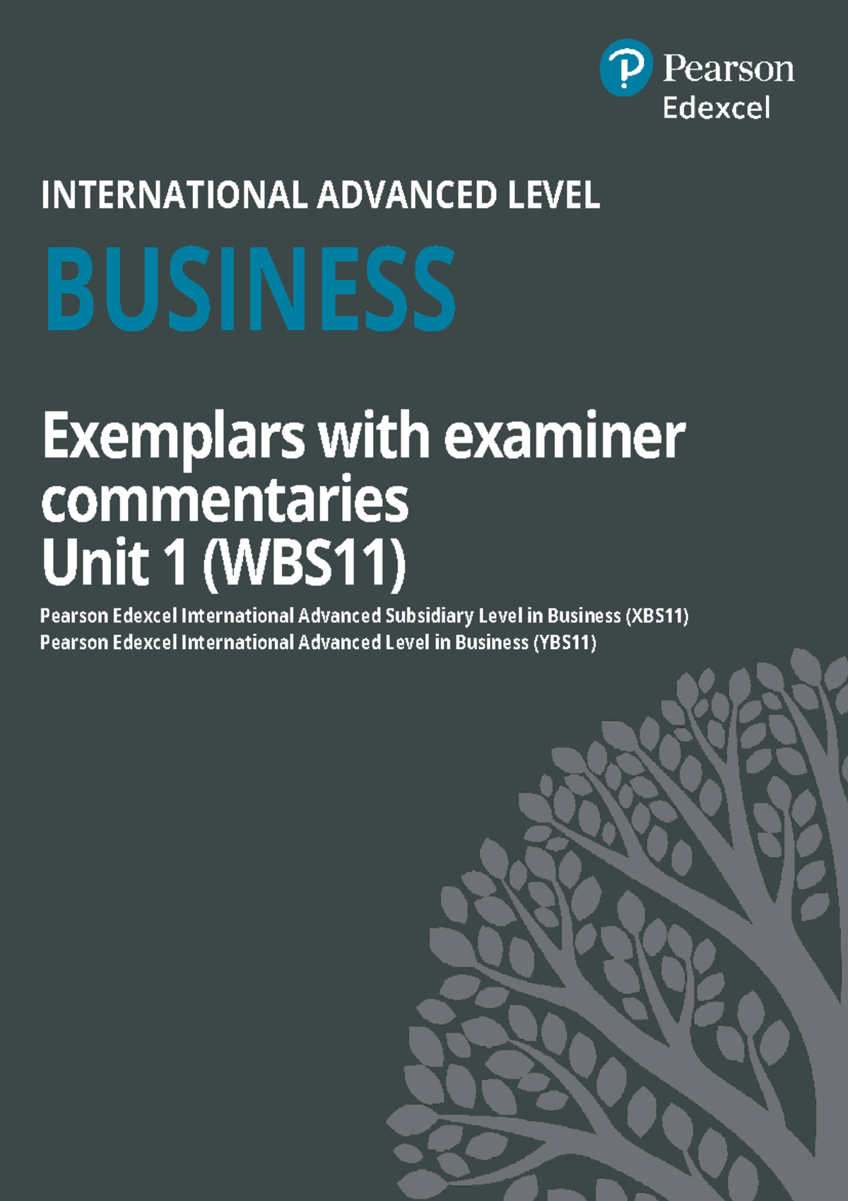 May 2019 Examiner Report - INTERNATIONAL ADVANCED LEVEL BUSINESS ...