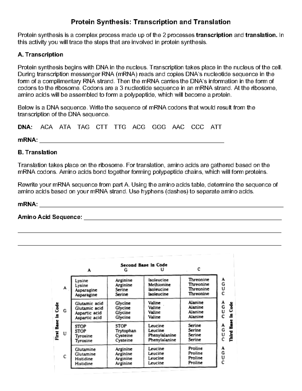 BIO Lecture 7 practice - Protein Synthesis: Transcription and ...
