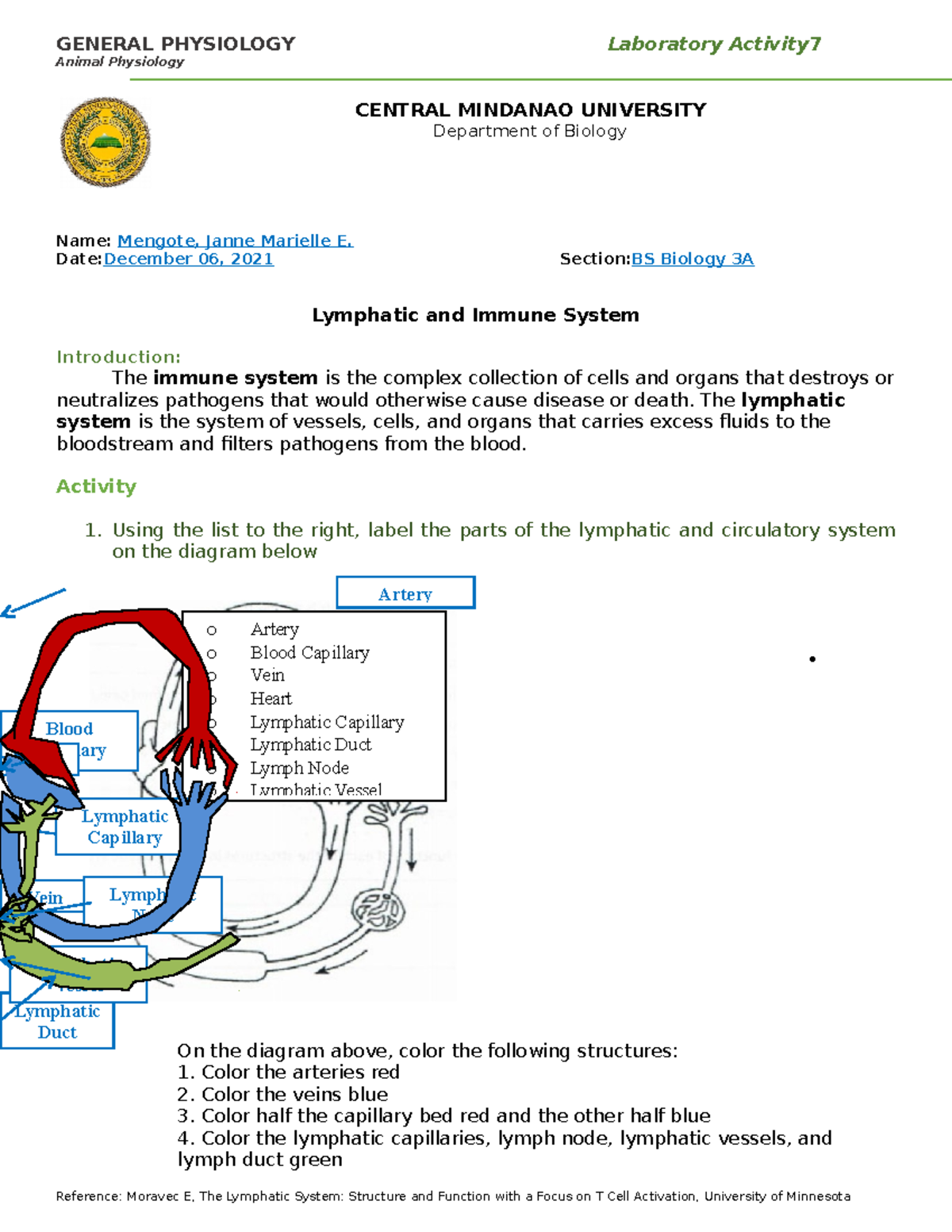 Lymphatic System Laboratory Activity - Animal Physiology CENTRAL ...