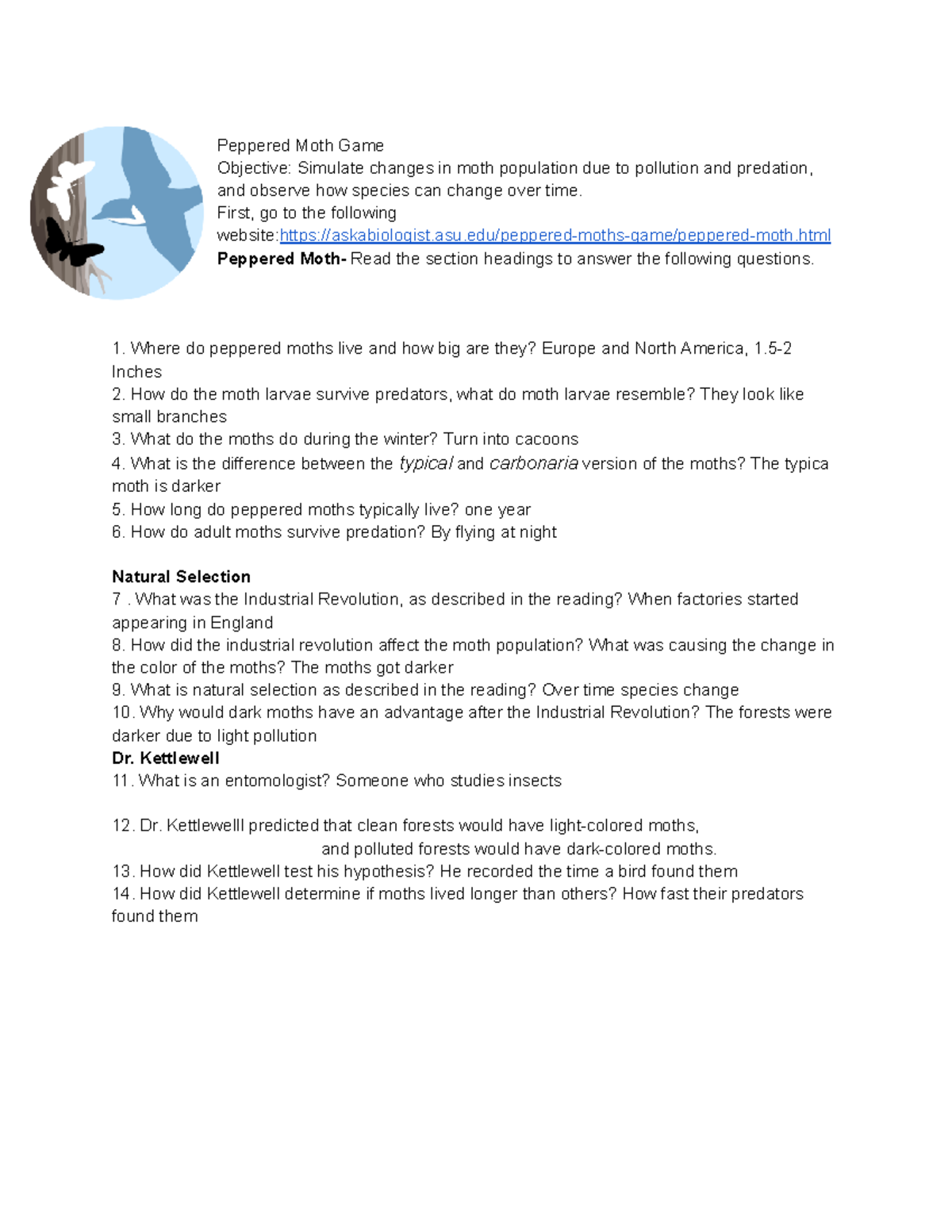 Copy of Spring 2024 Peppered Moth Game - Peppered Moth Game Objective ...