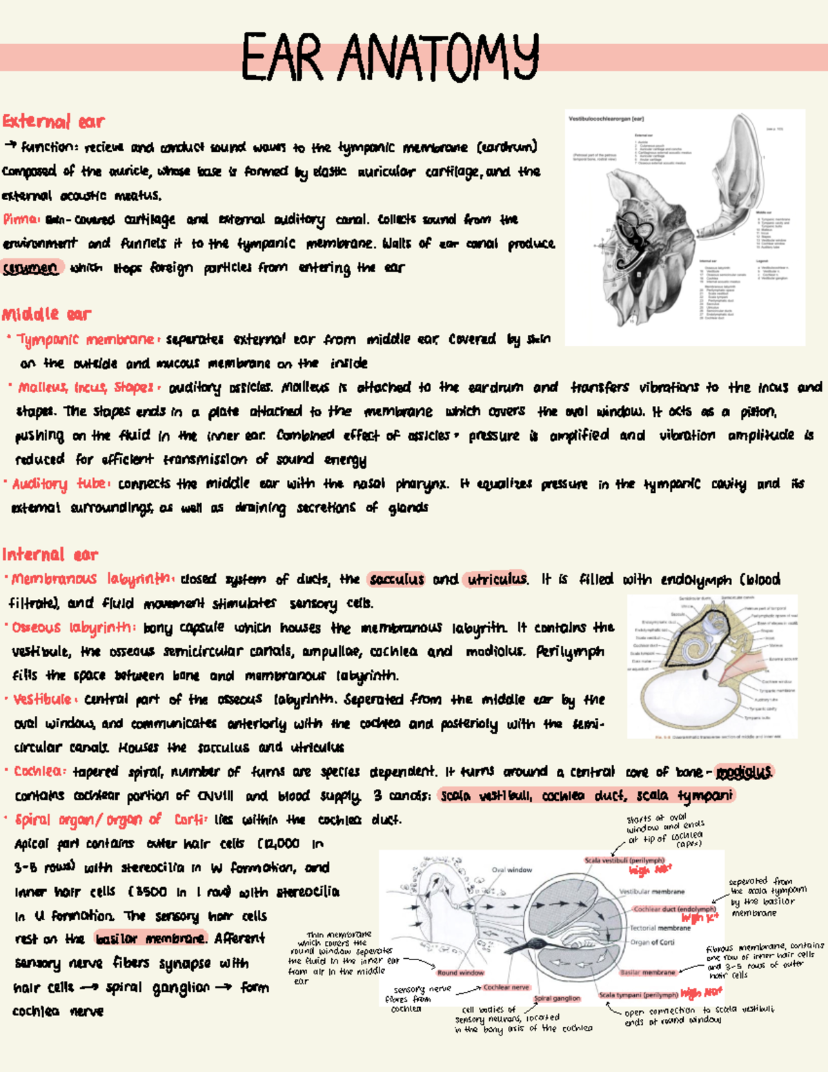 Module 3 Summaries From Lecture Notes And Textbooks Warning Error During Font Loading