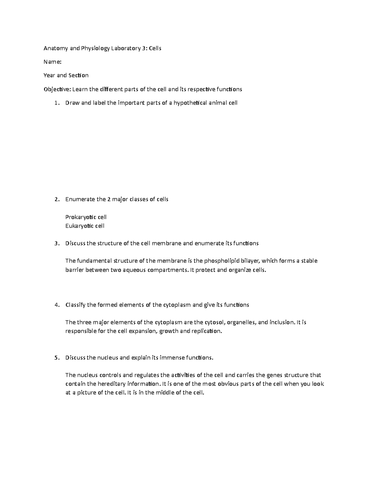 Anatomy And Physiology Laboratory 3 It Protect And Organize Cells