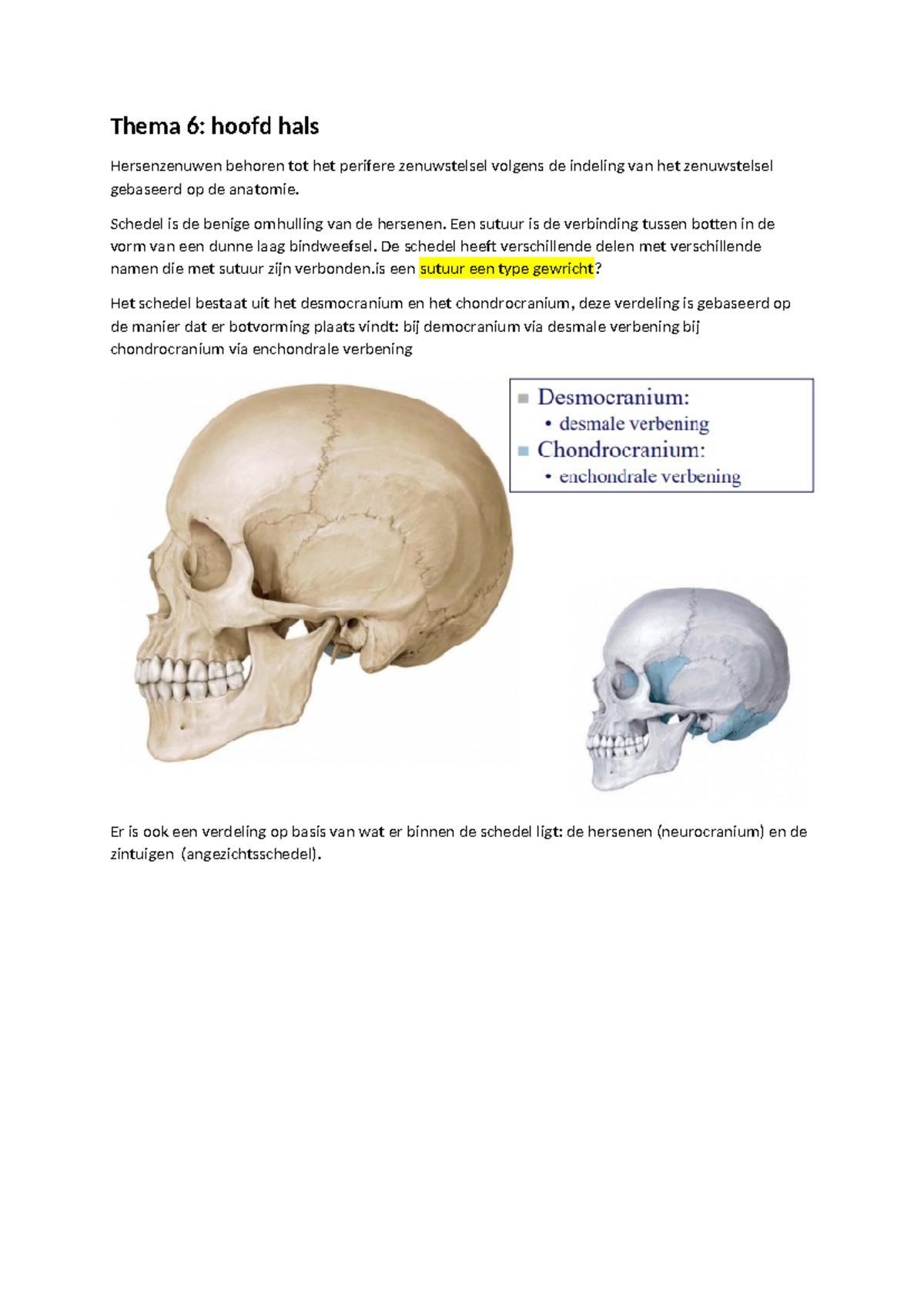Hoofd hals MTC - aantekeningen thema 6 mens tot cel - Thema 6: hoofd ...