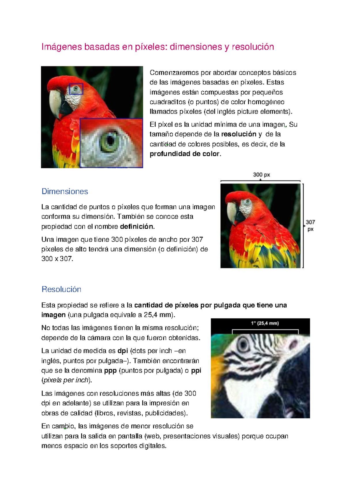 Nivel de informatica 1: Imágenes basadas en píxeles (año 2023 ...