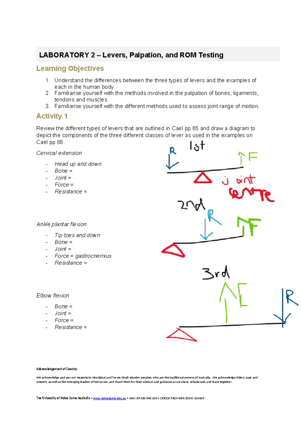 Lab 2 - Lab work tut 2 - LABORATORY 2 – Levers, Palpation, and ROM ...