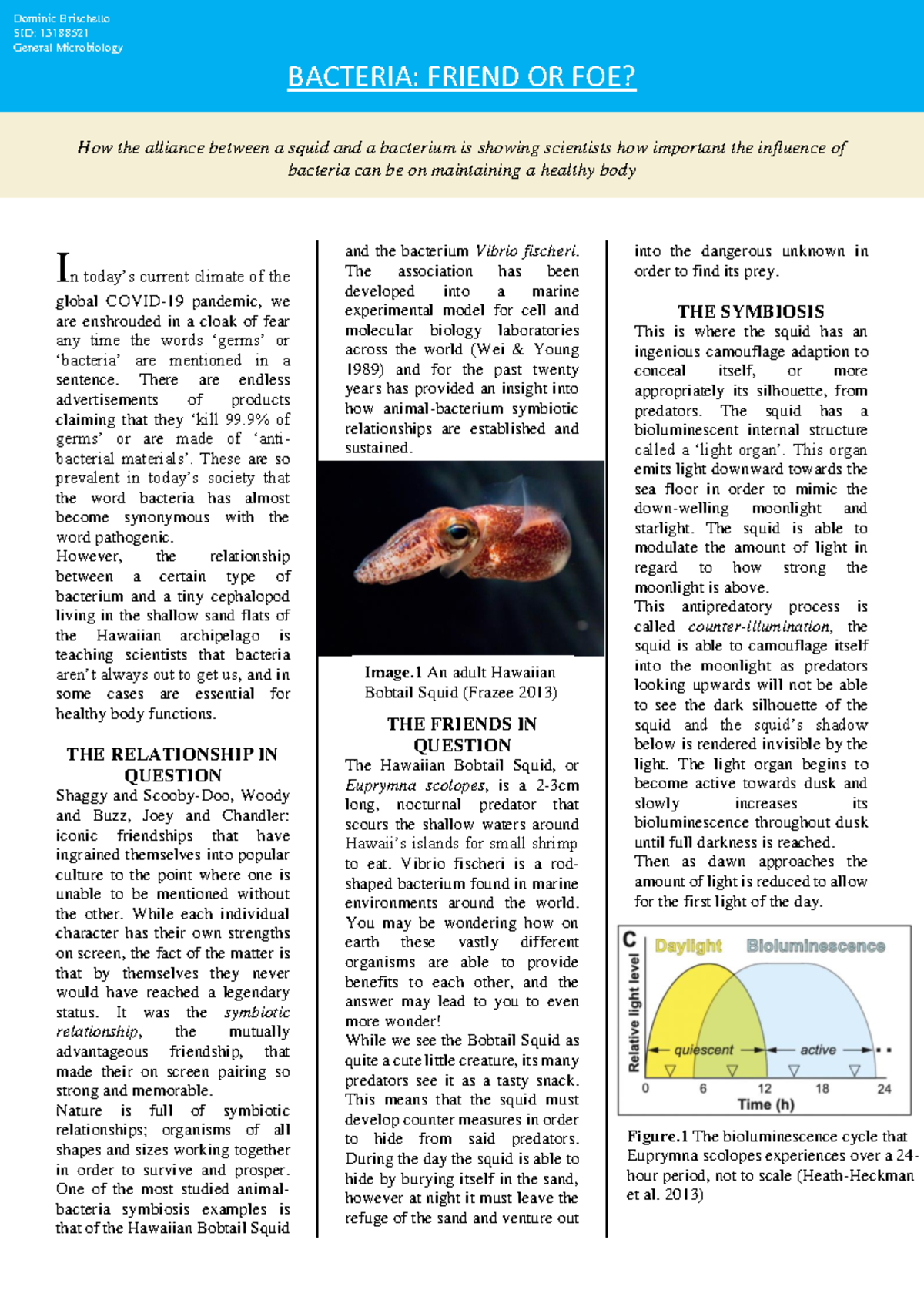 General Microbiology Magazine Assignment - BACTERIA: FRIEND OR FOE? How ...