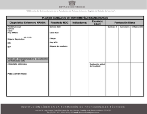 Modelo Bifocal - 1 EL MODELO BIFOCAL DE PRÁCTICA DE CLÍNICA LYNDA J. CARPENITO La enfermería ...