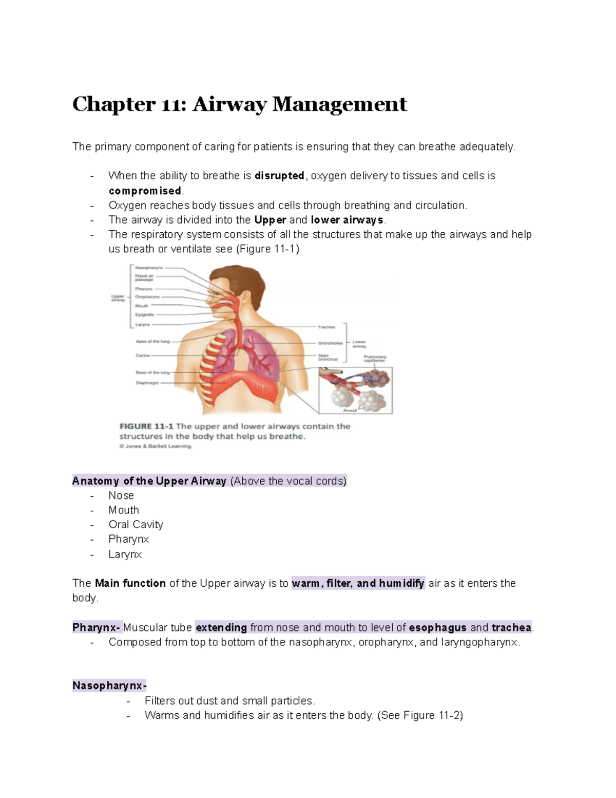 Chapter 11: Airway Management notes - Chapter 11: Airway Management The ...