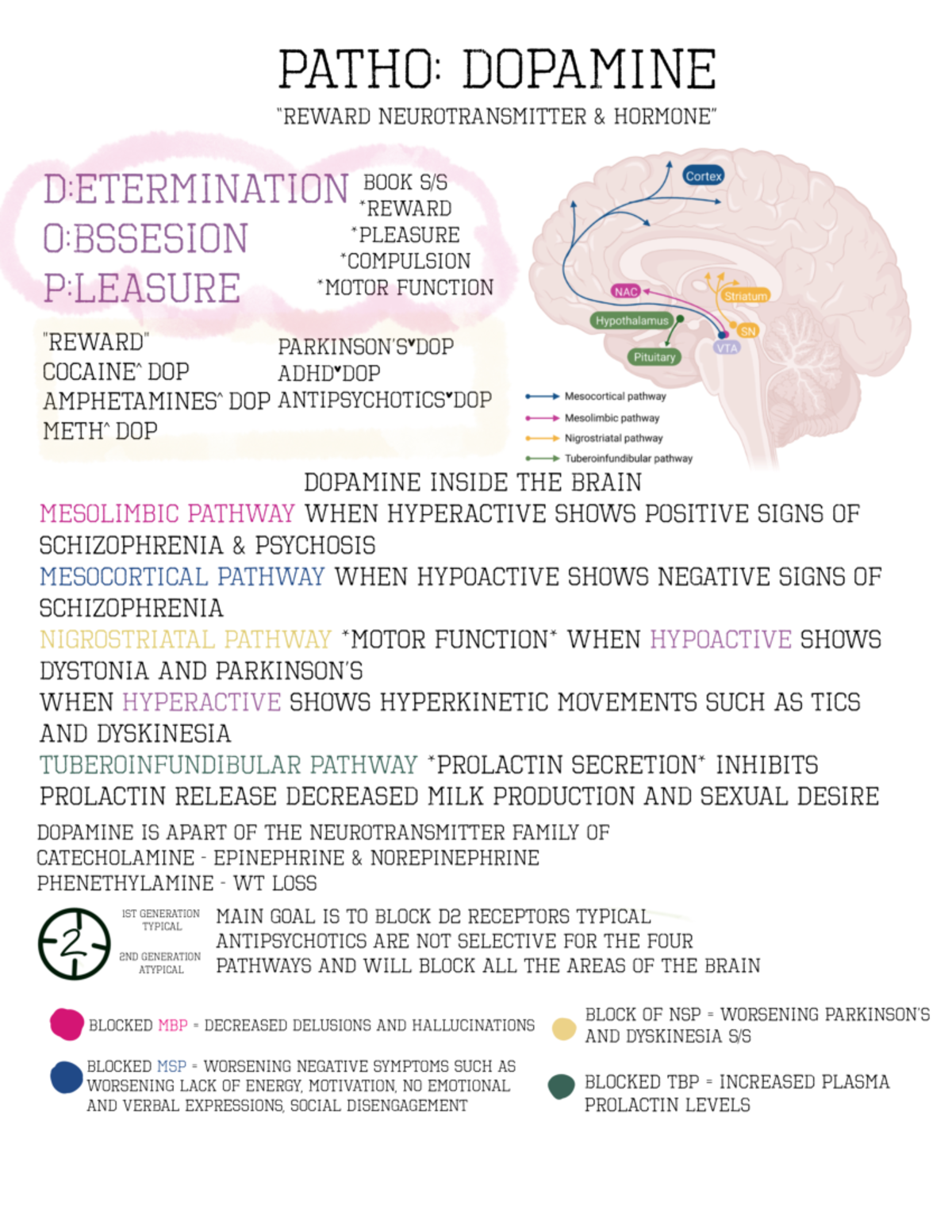 Untitled Artwork - Patho - PATHO: DOPAMINE INEUROTRANSMITTER DETERMINATION BOOK Cortex 0 ...