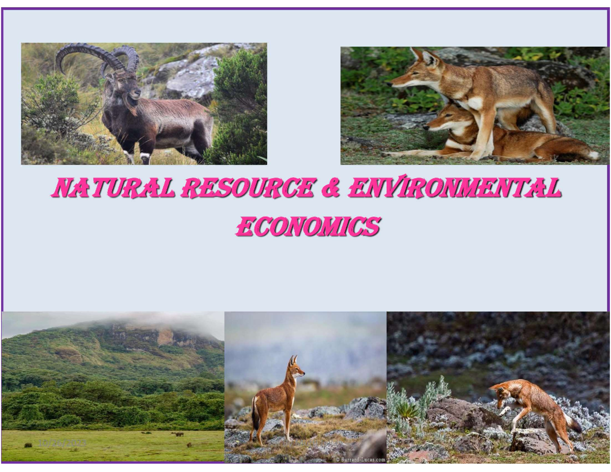 Chapter 1 of Natural Resource Economics - Natural Resources and ...