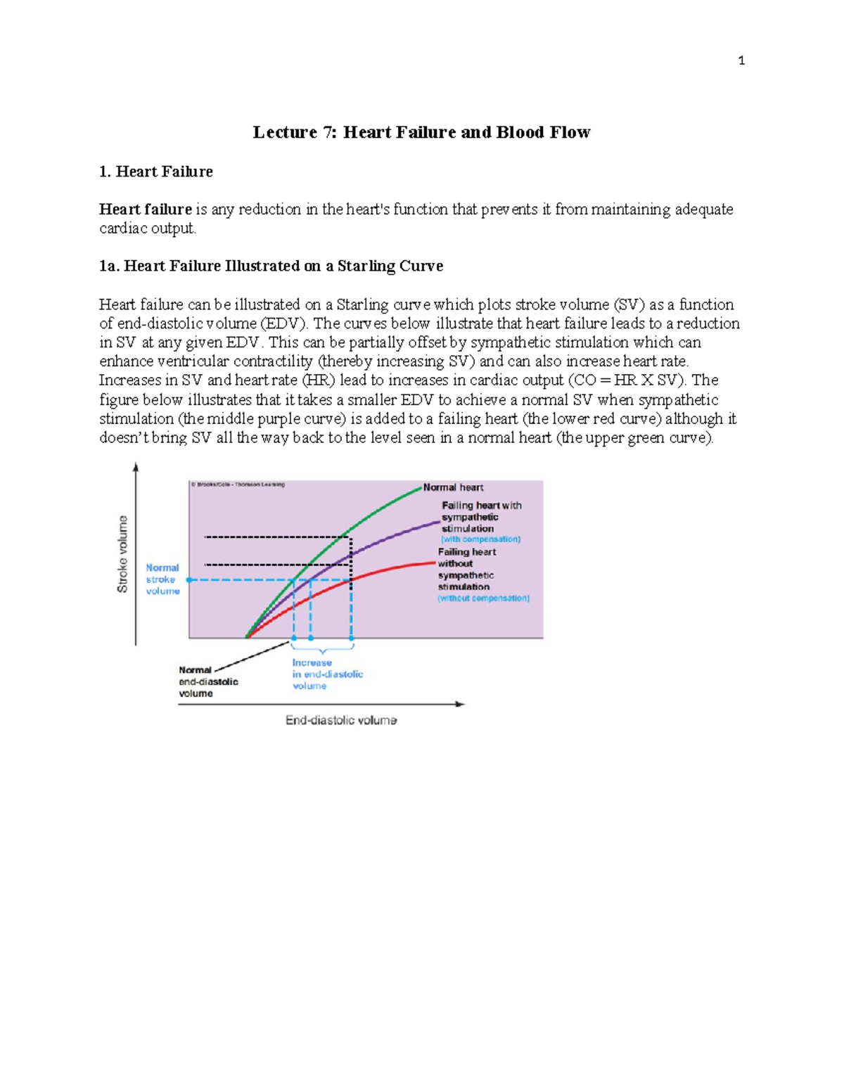 Lecture 7 Notes 2024 - Lecture 7: Heart Failure and Blood Flow Heart ...