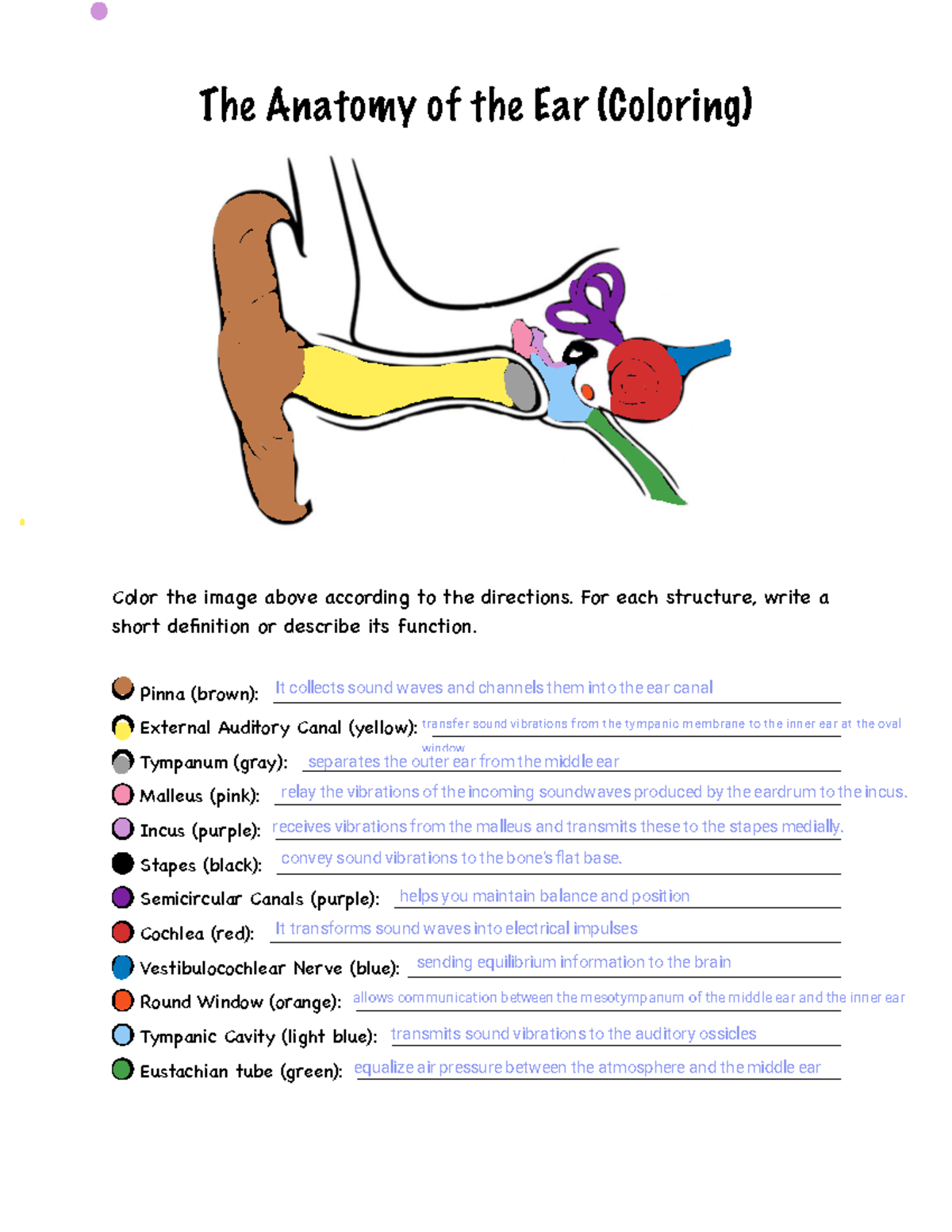 Ear Anatomy Coloring Page at Virginia Ertel blog