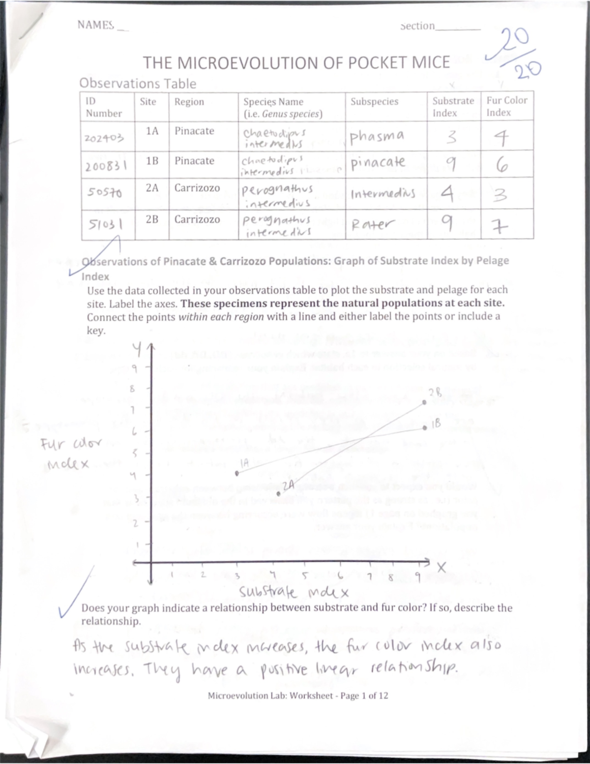 Lab 2 Microevolution - Lab 2 Worksheet - NAMES Sayla Miyoshi Chelsea ...