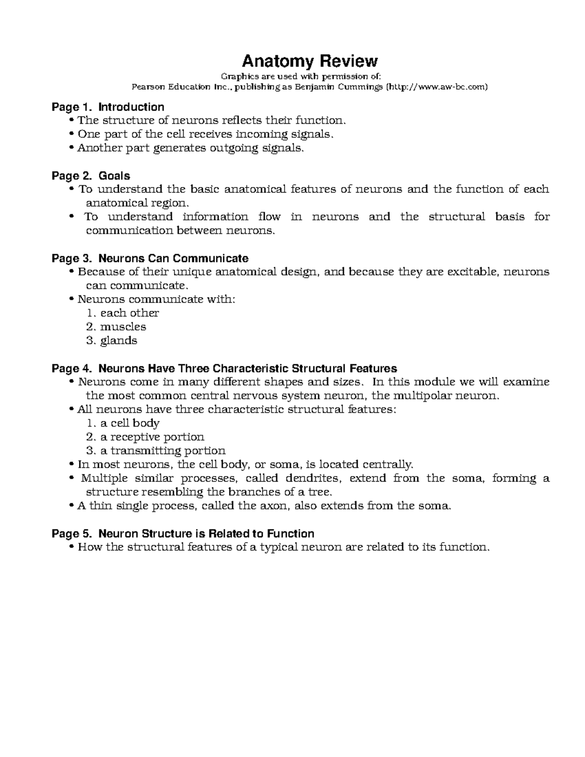 Nervous System: Neuron Anatomy Review - Anatomy Review Graphics are ...