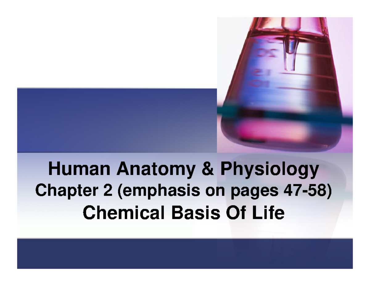 lecture notes.pdf - Human Anatomy & Physiology Chapter 2 (emphasis on ...