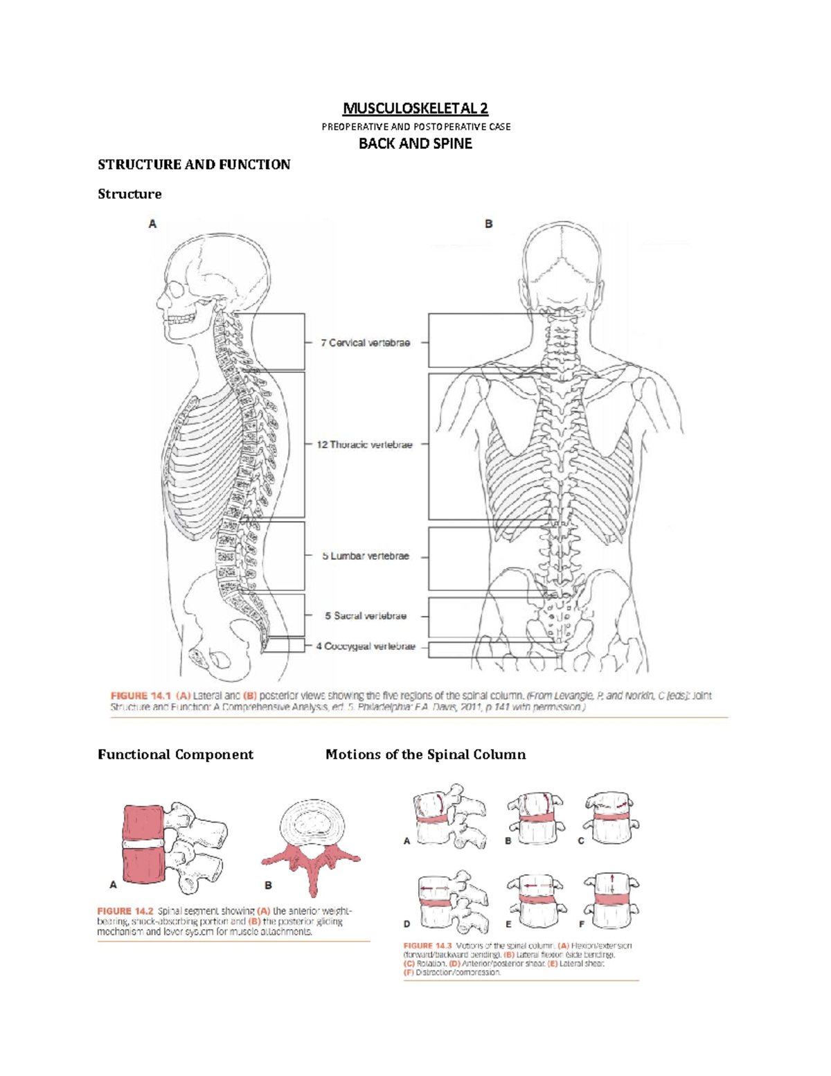 Spine Region Notes - Physical Therapy - Studocu