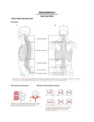 Medical Terminologies and Abbreviations - : morning AMA: against ...