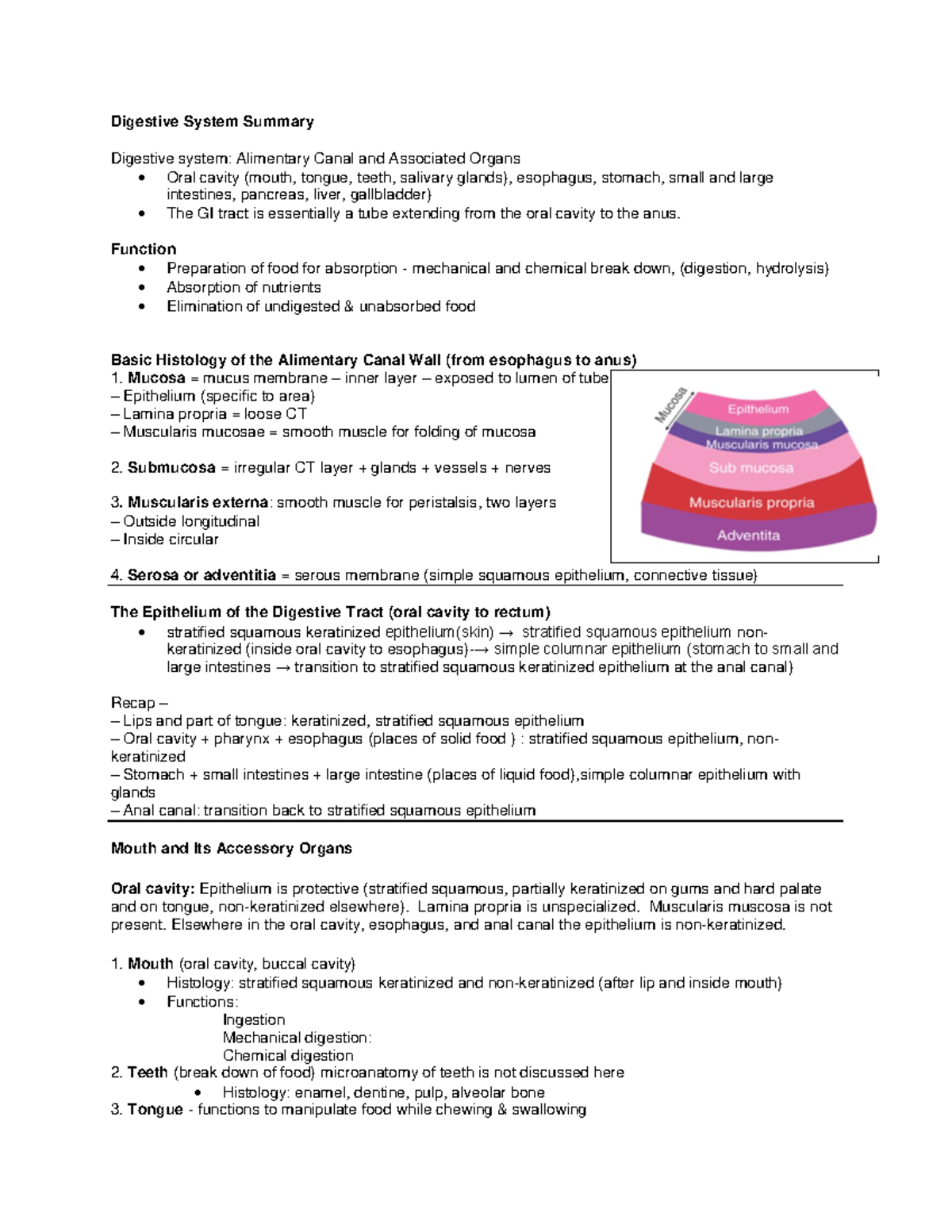 Digestive notes summary - Digestive System Summary Digestive system ...