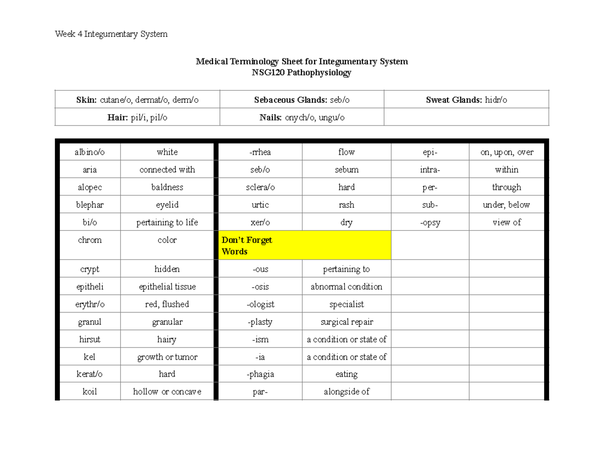 Module 4 Medical Terminology Sheet for Integumentary System 2022 ...