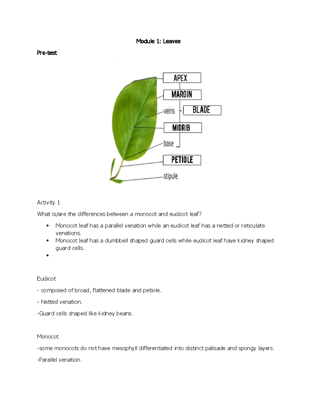 Module 1 Leaves - Module 1: Leaves Pre-test Activity 1 What is/are the ...