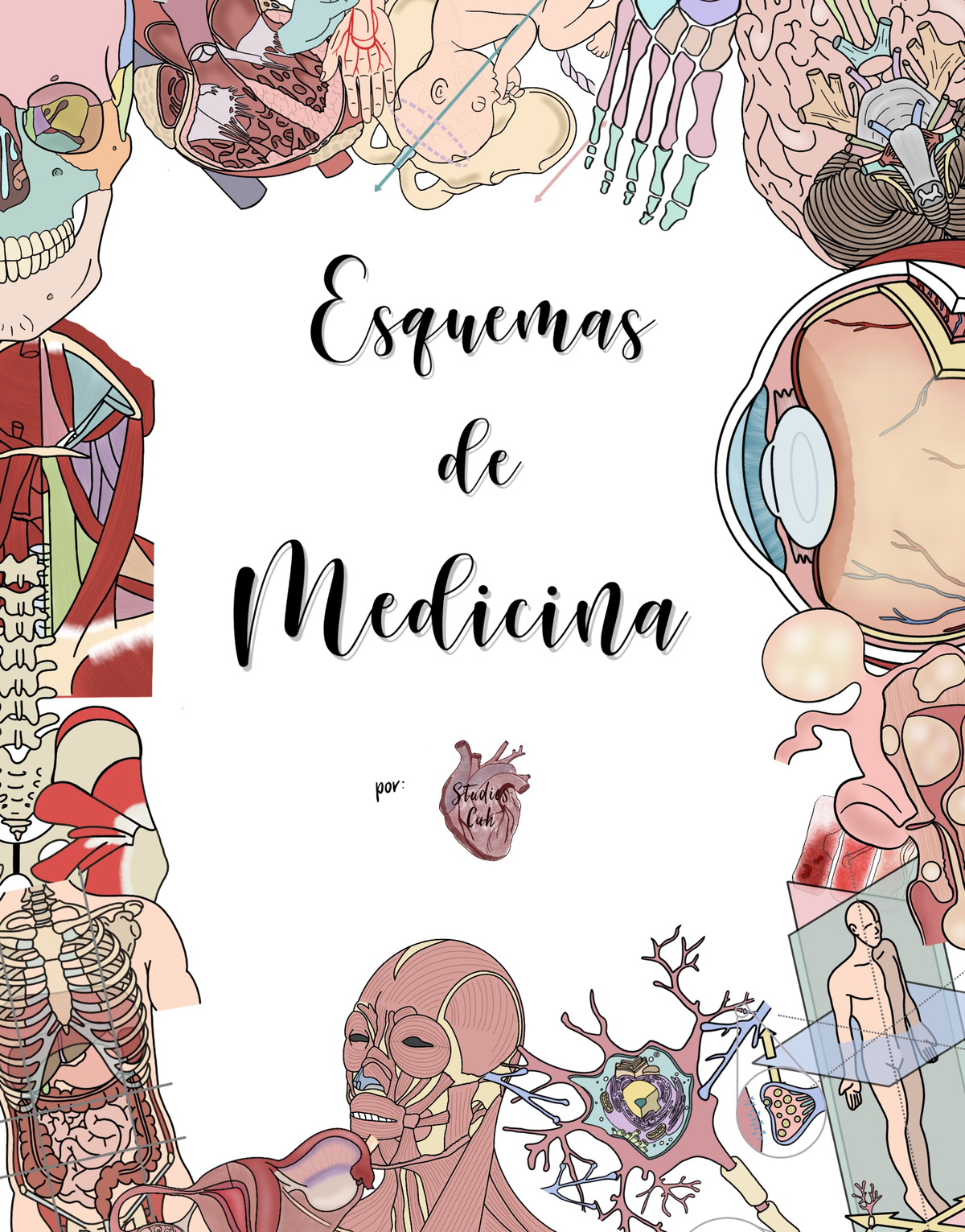 medicina libro anatomico - Libro de Medicina Libro con esquemas de ...