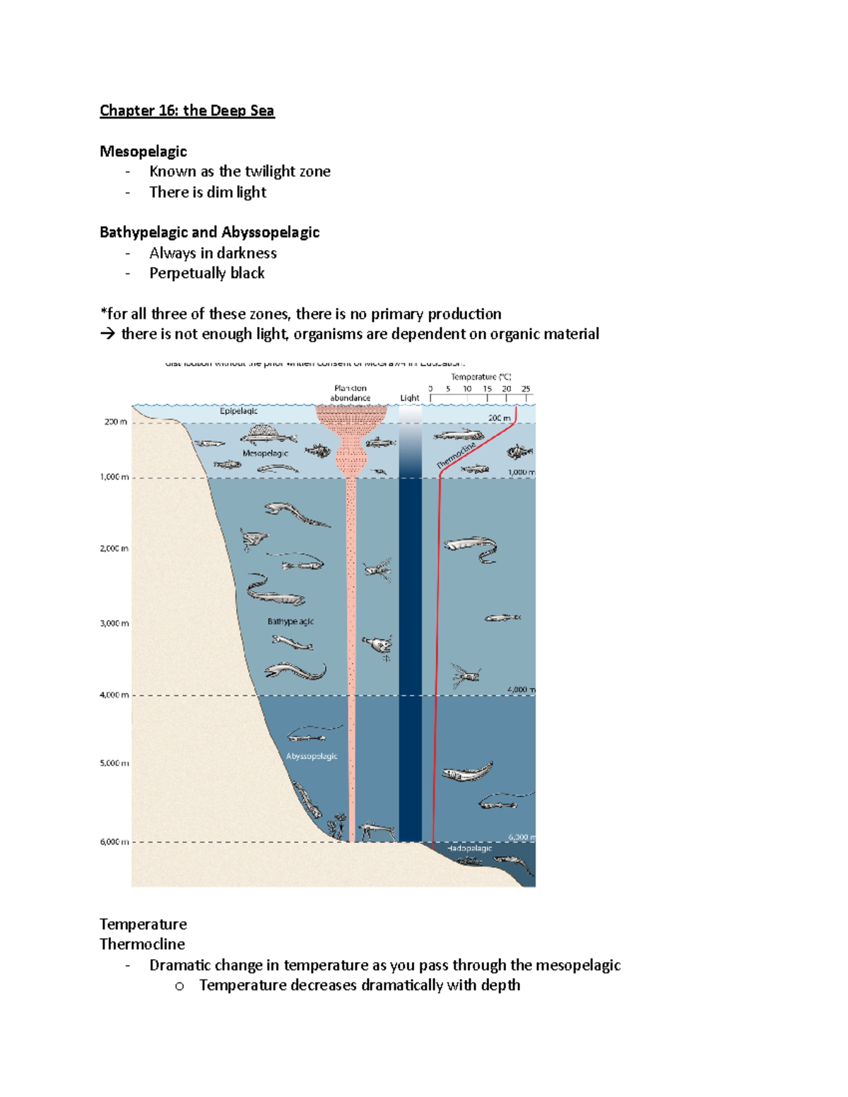 Deep Sea - These notes discuss everything important about the deep sea ...